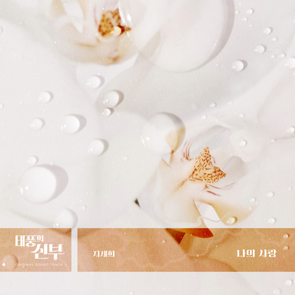 지세희, KBS2 ‘태양의 신부’ OST ‘나의 사랑’ 30일 발표 :: 스타데일리뉴스