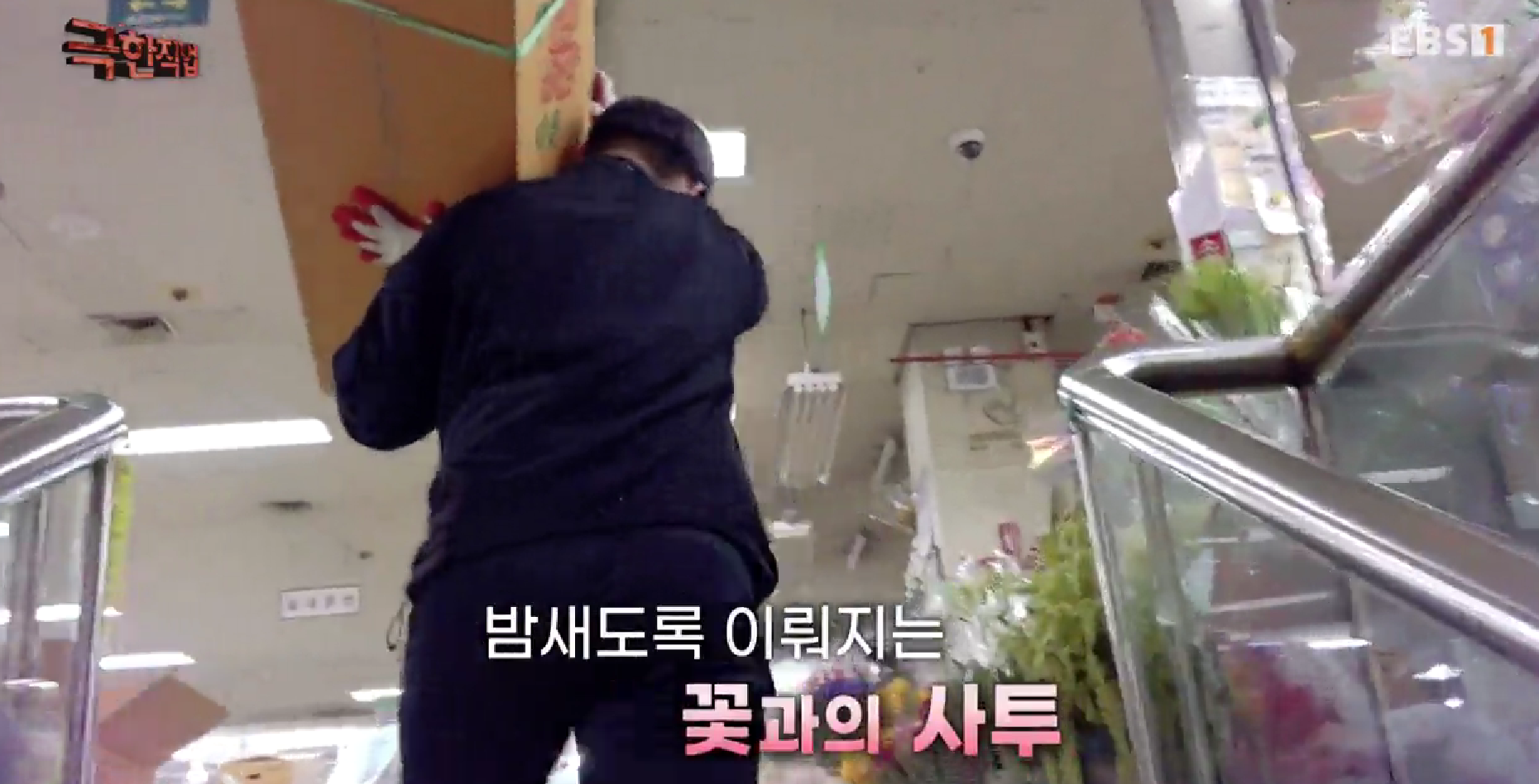 EBS1 '극한직업' 844화, 초콜릿과 꽃다발 직업 탐구 - 스타데일리뉴스