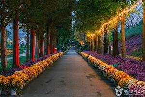 겨울에 가볼 만한 곳, 아산 피나클랜드 수목원의 설경과 힐링 - 스타데일리뉴스